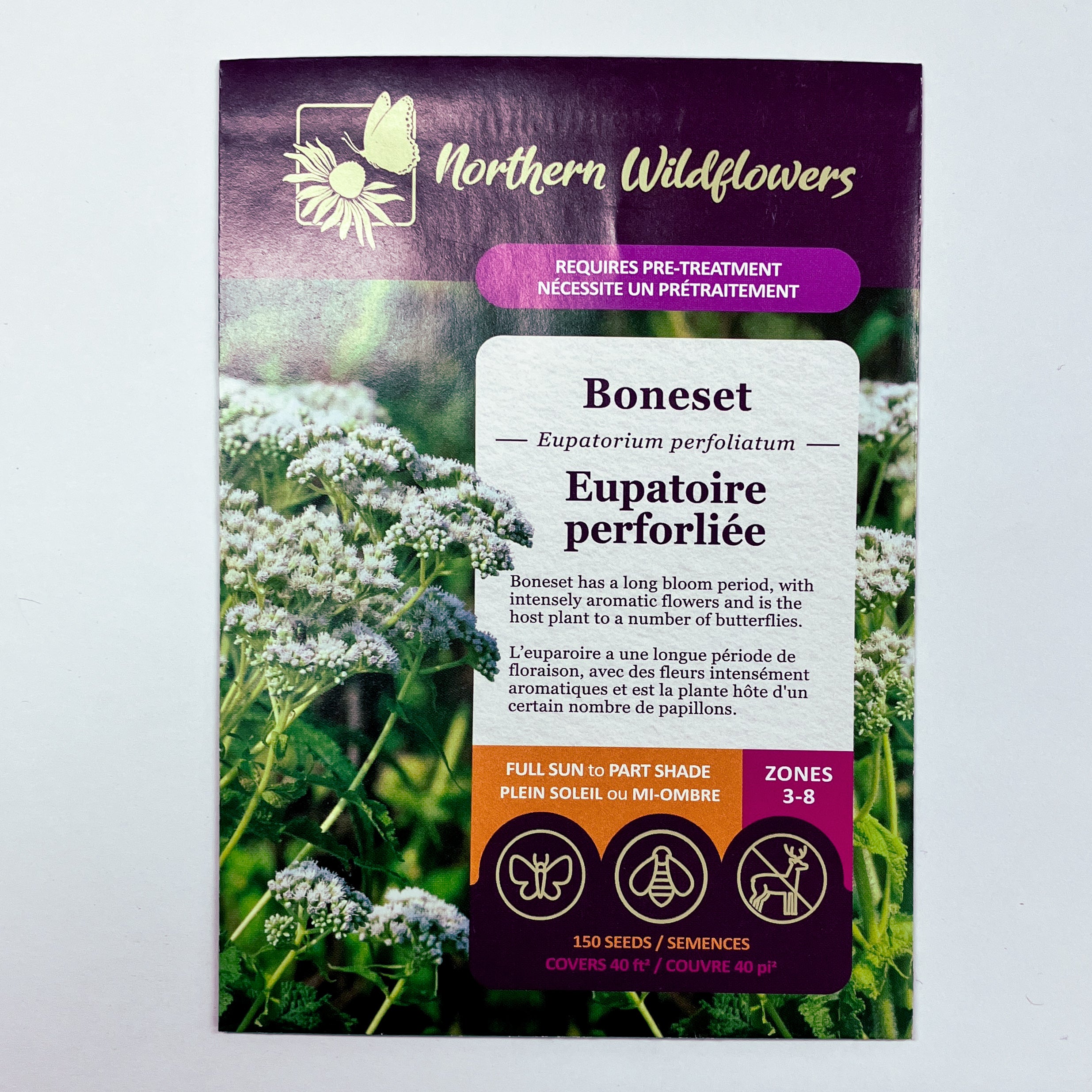 Boneset Seeds – Seafoam Lavender