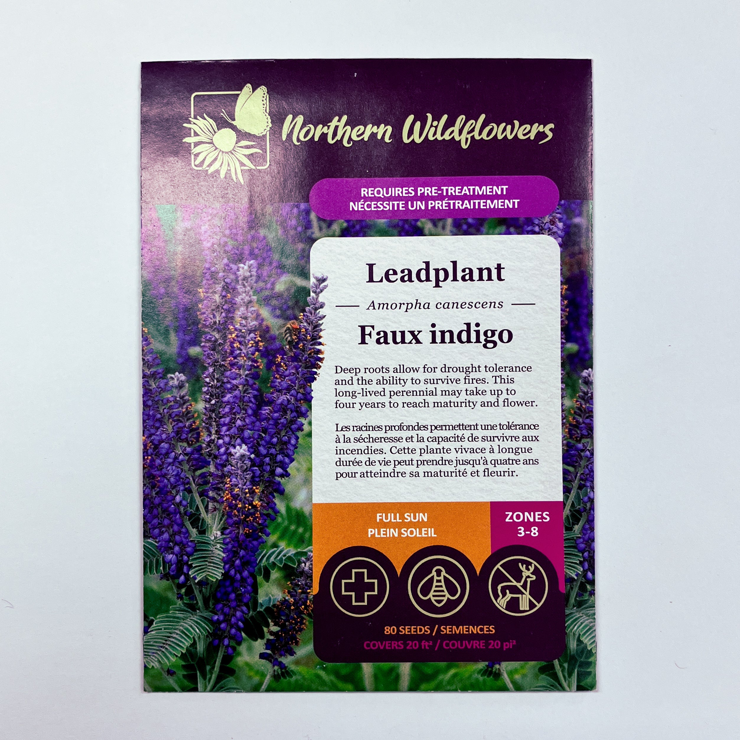 Leadplant Seeds – Seafoam Lavender