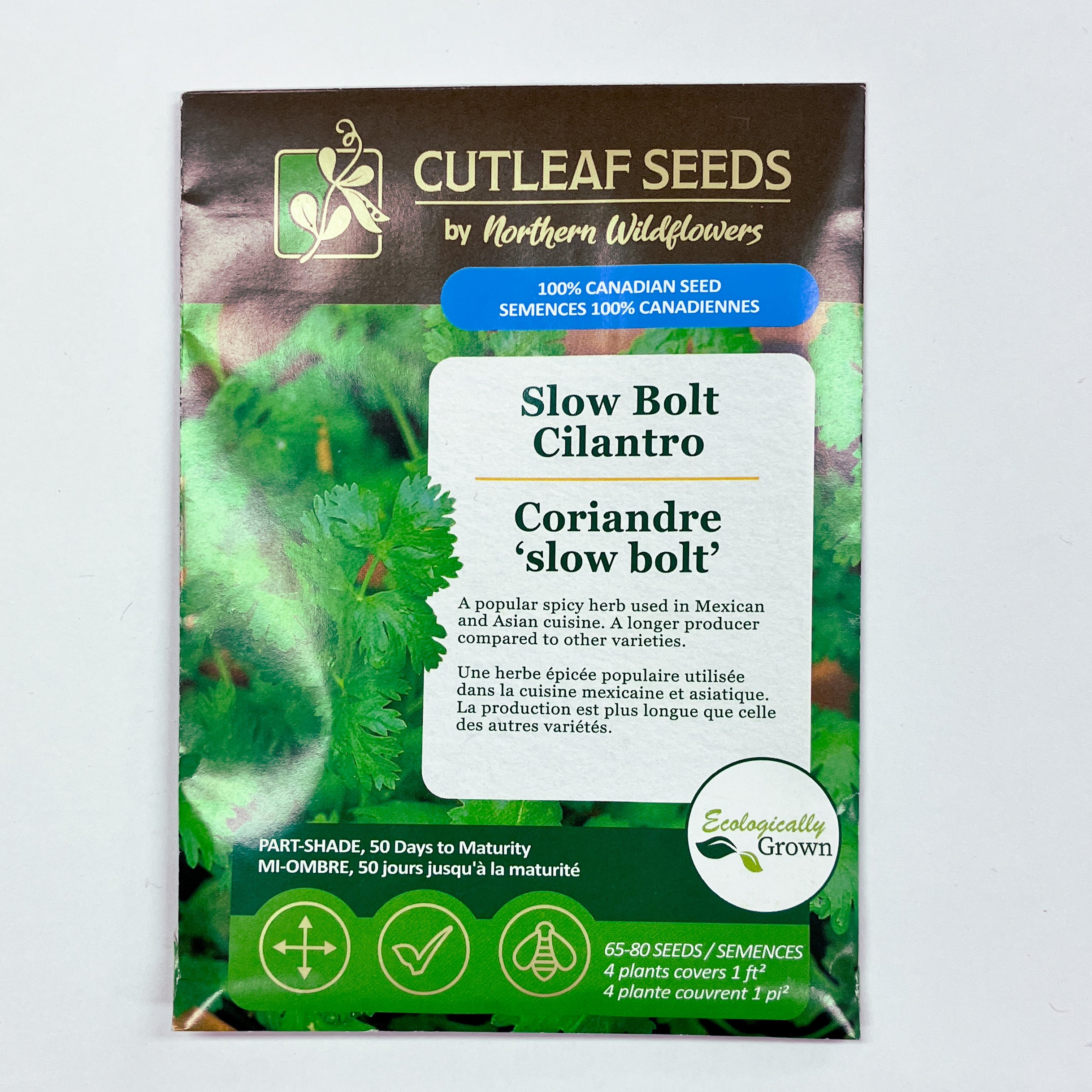 Cilantro, Slow Bolt Seeds – Seafoam Lavender