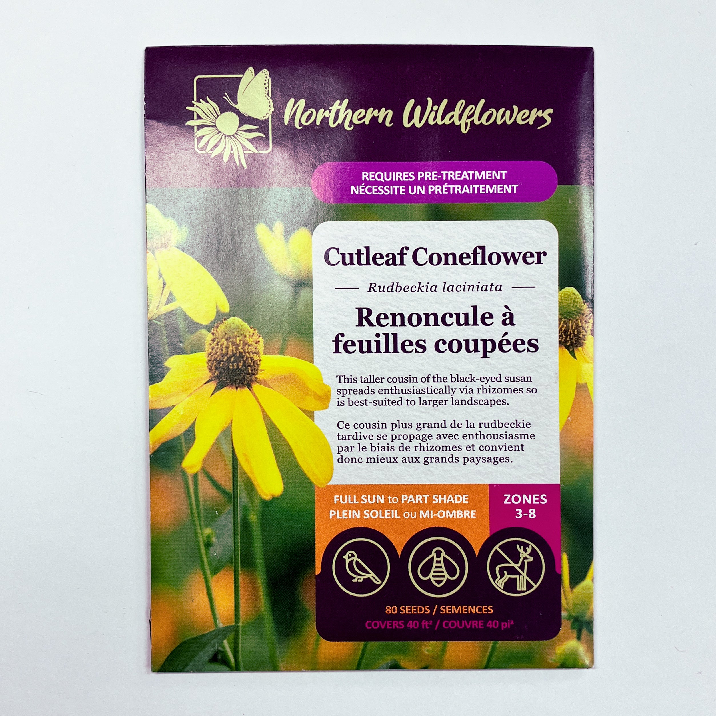 Cutleaf Coneflower Seeds – Seafoam Lavender