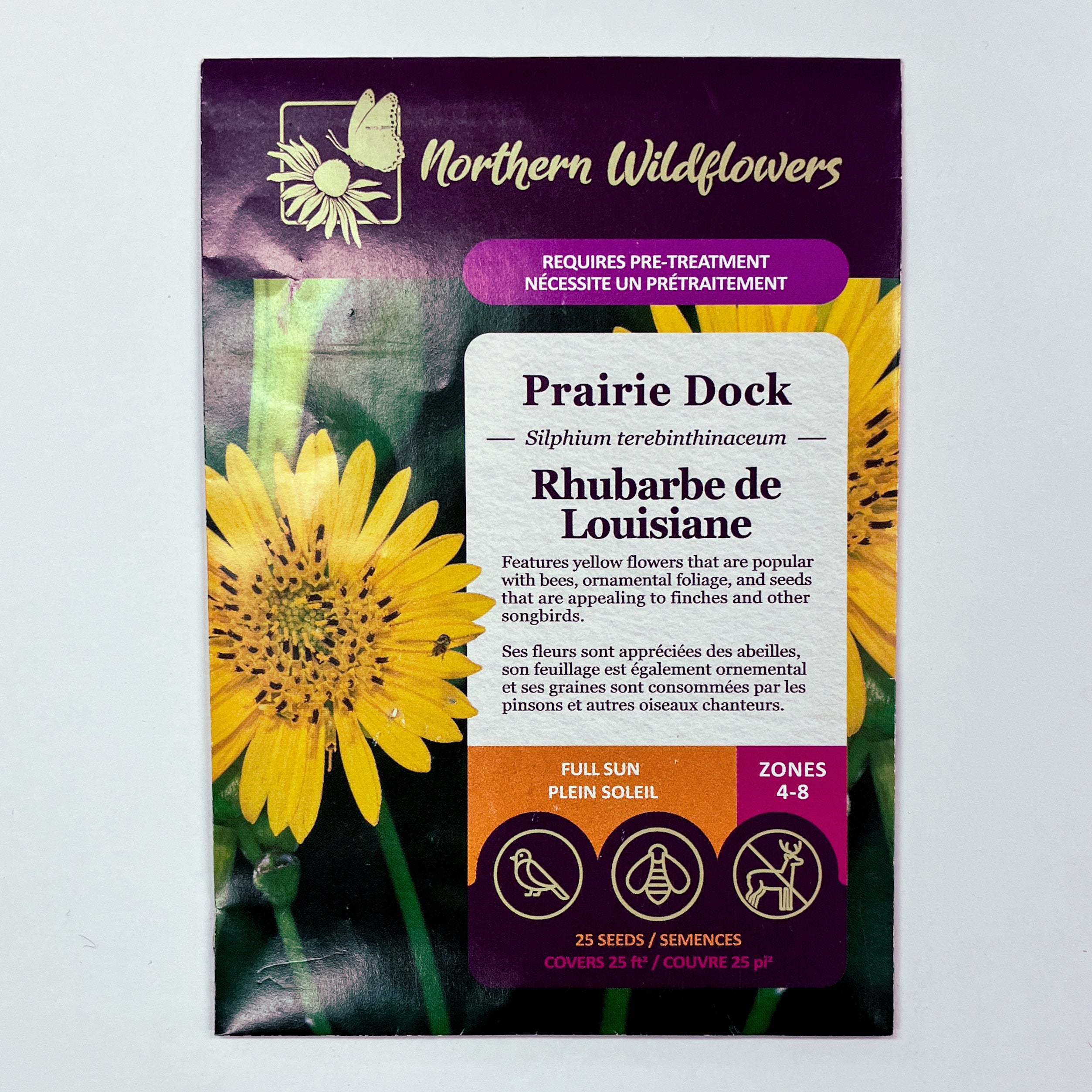 Prairie Dock Seeds – Seafoam Lavender