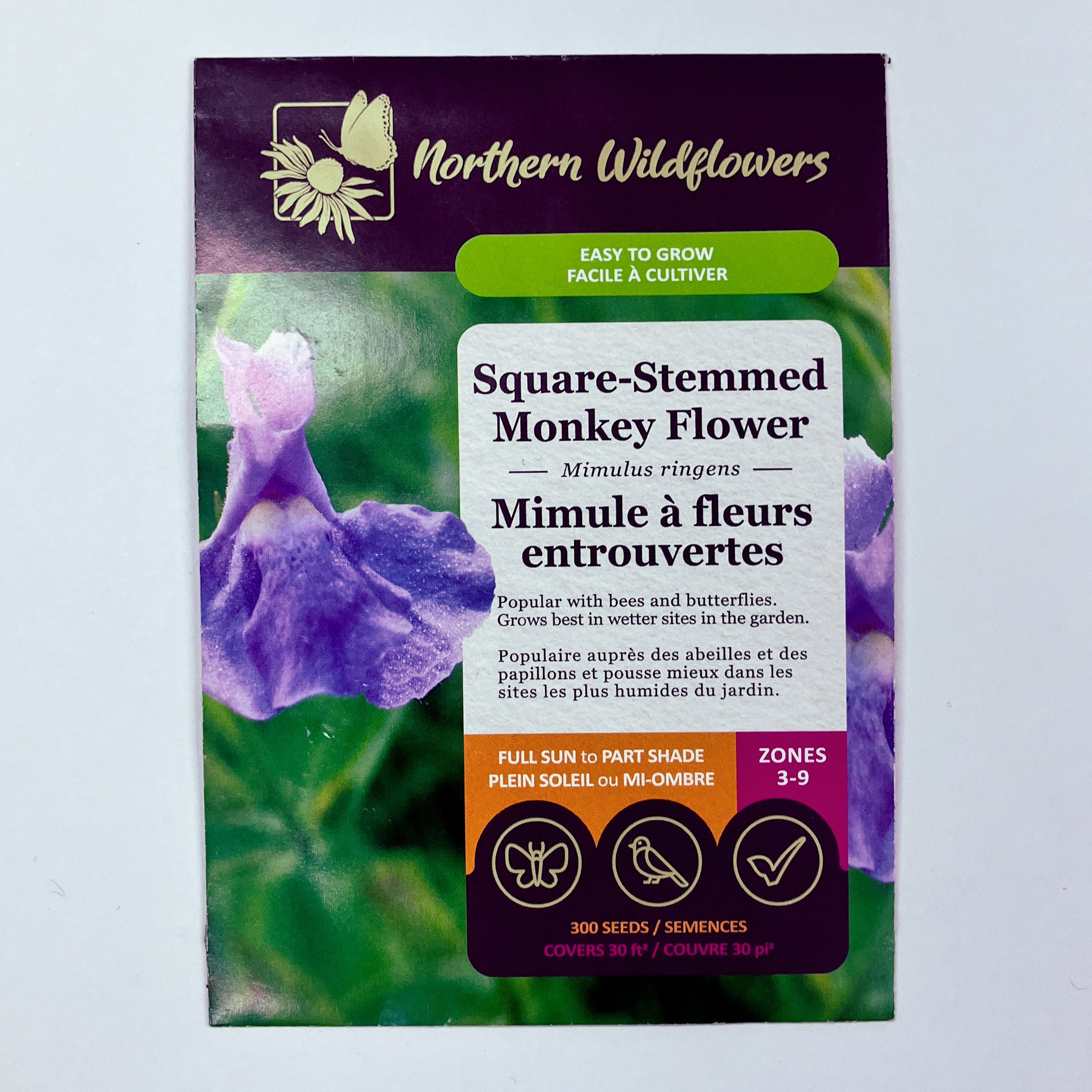 Square-Stemmed Monkey Flower Seeds – Seafoam Lavender