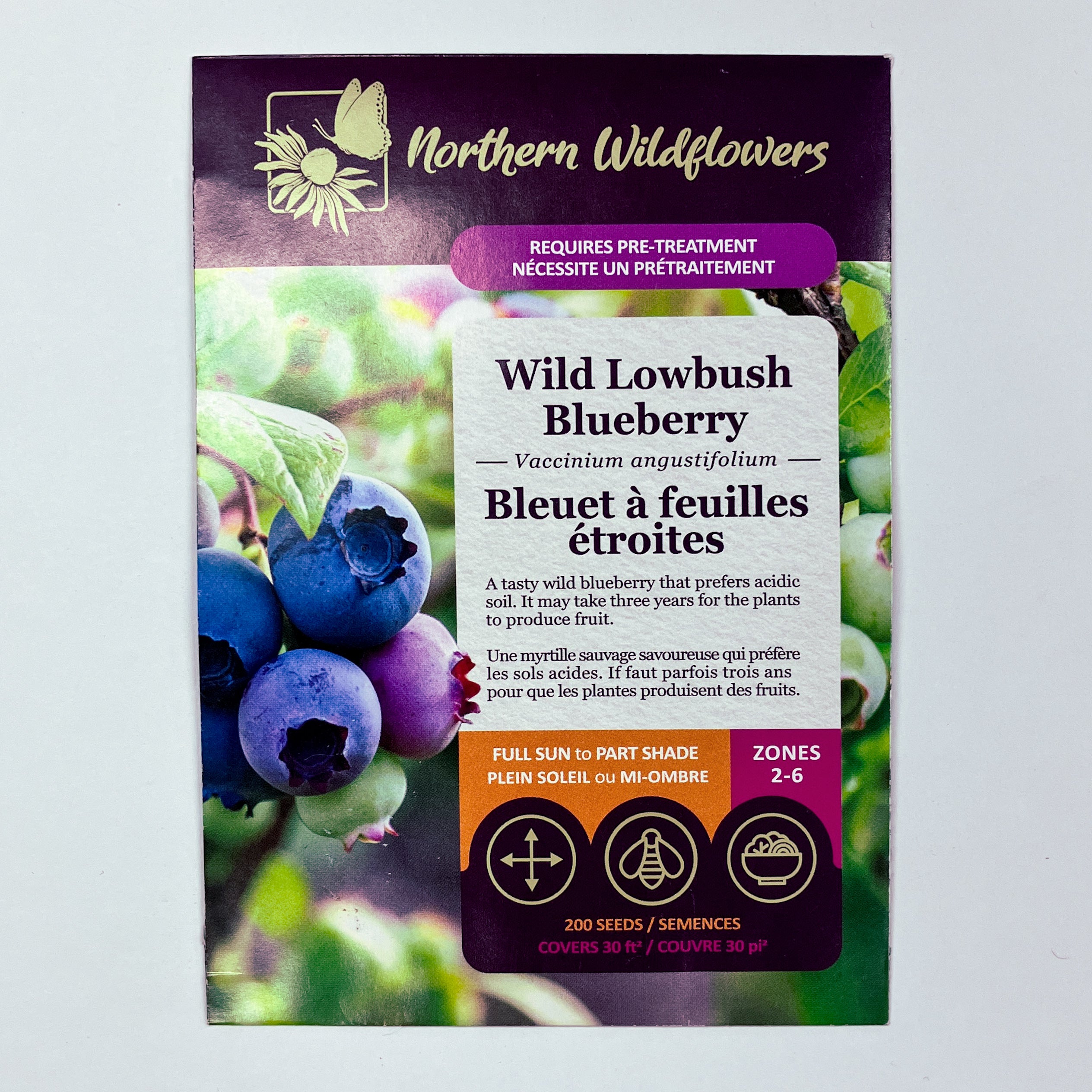 Wild Lowbush Blueberry Seeds – Seafoam Lavender